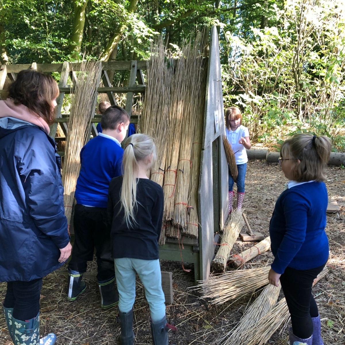 Caston C of E Primary Academy - CLASS 2 PUPILS LEARN HOW TO THATCH